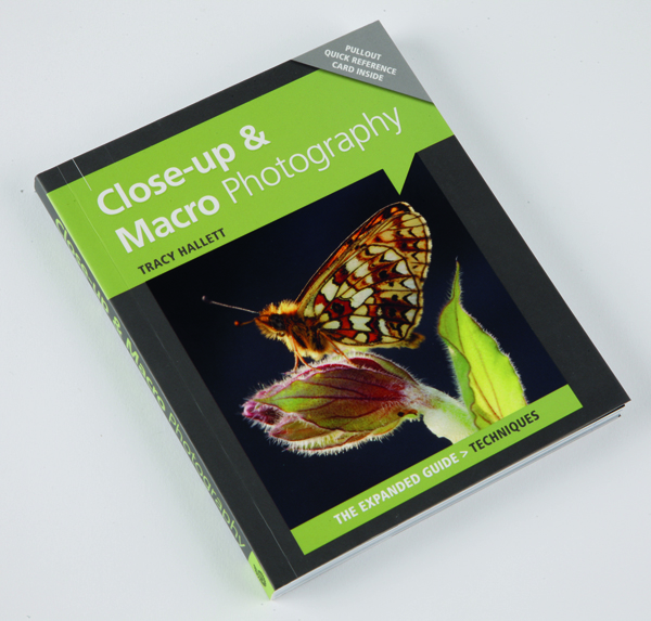 Close-up and Macro photography